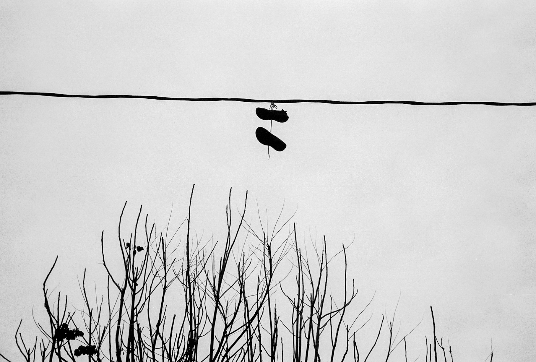 Create. Educate. Commemorate. – Matthew Pak