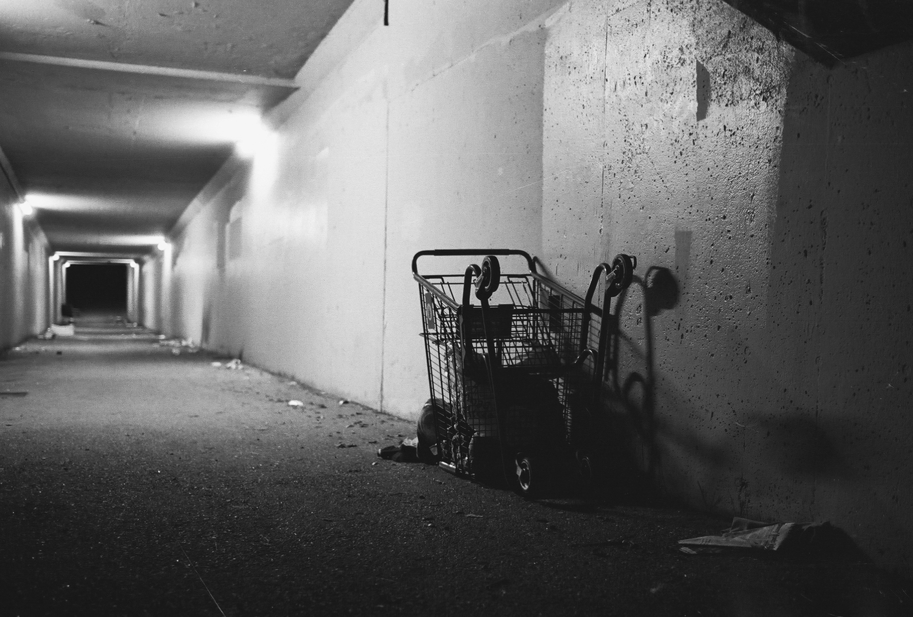 Create. Educate. Commemorate. – Matthew Pak